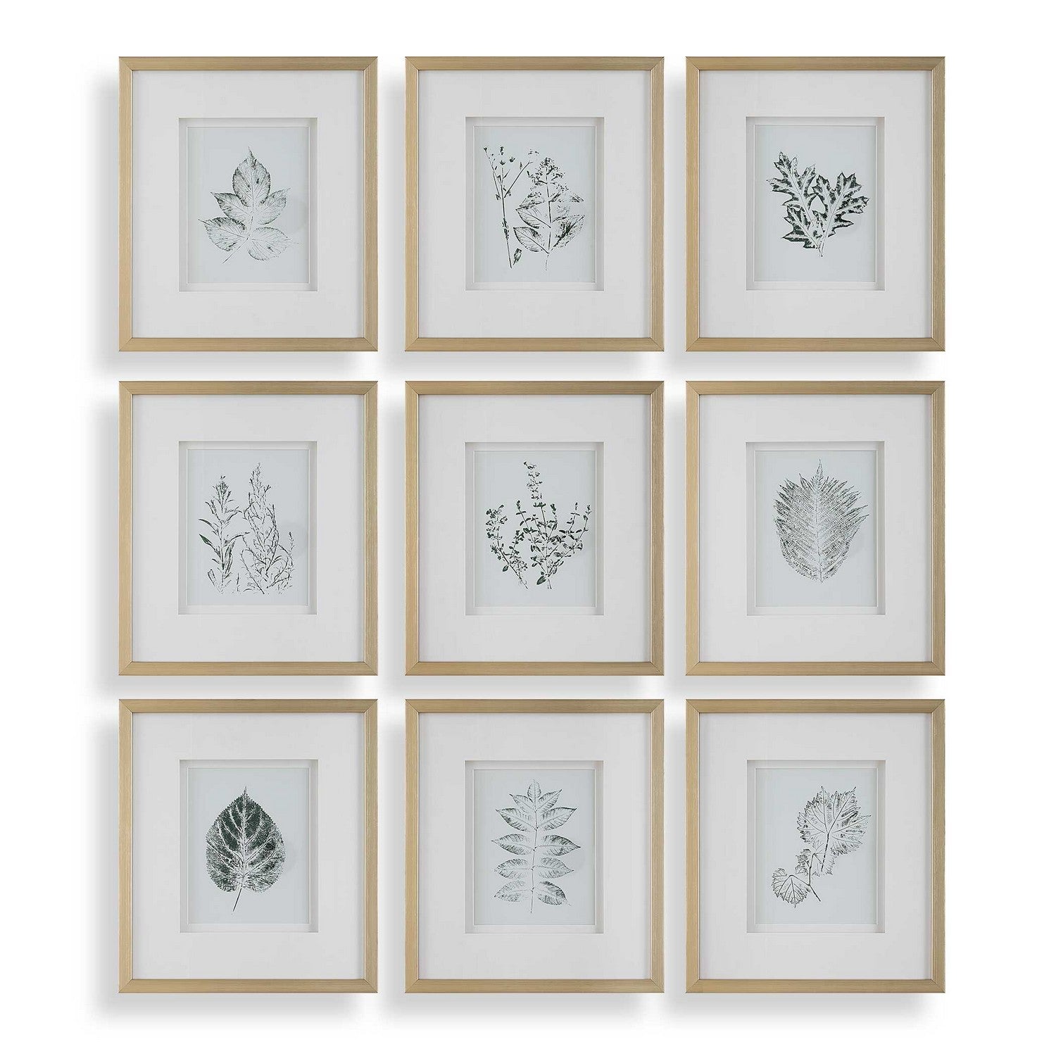 Uttermost - 32449 - Framed Botanical Prints Set/9 - Nature's - Gold ...
